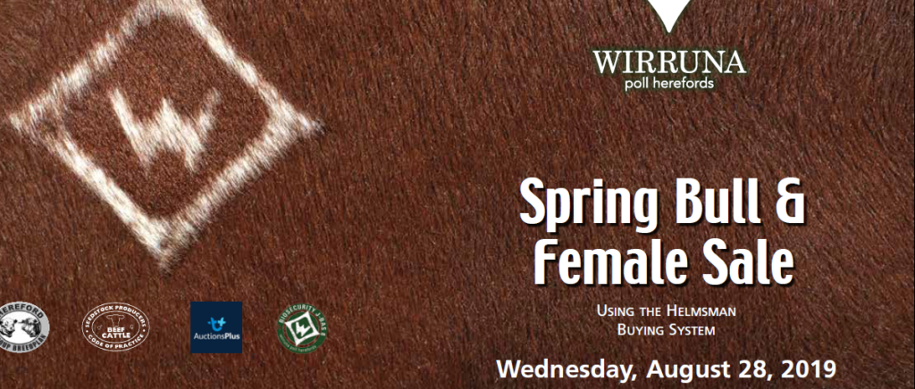 Wirruna Wirruna Poll Herefords